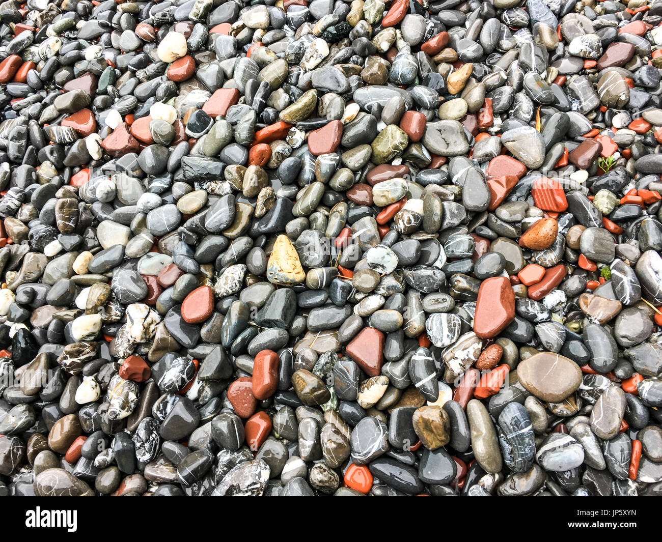 Wet pebbles on beach ocean, Maine, USA Stock Photo - Alamy