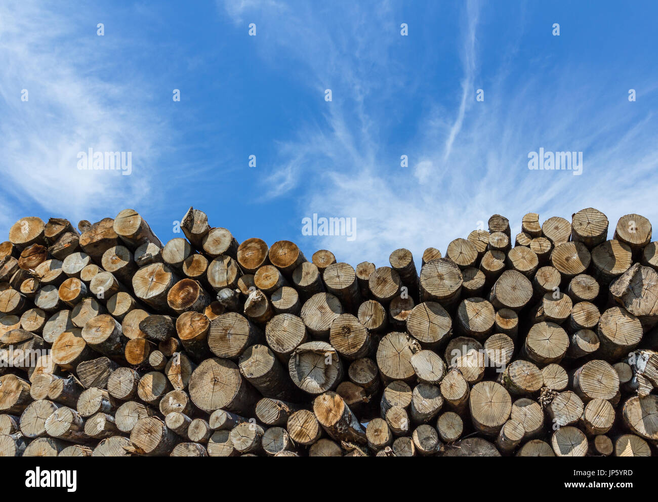 Wood logs stacked under log hi-res stock photography and images - Alamy