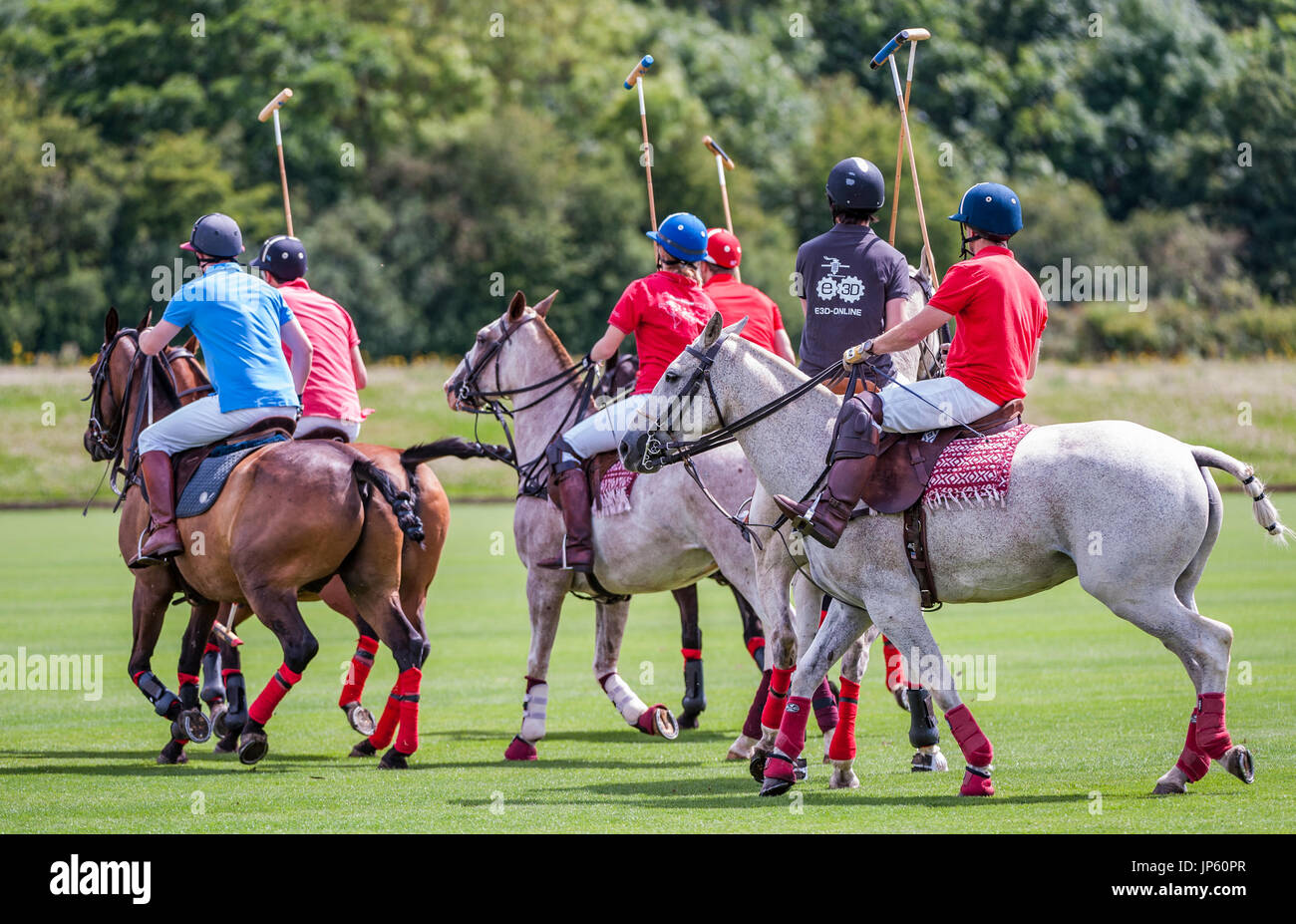 Leadenham Polo Club, Lincolnshire, England - A polo match being played ...