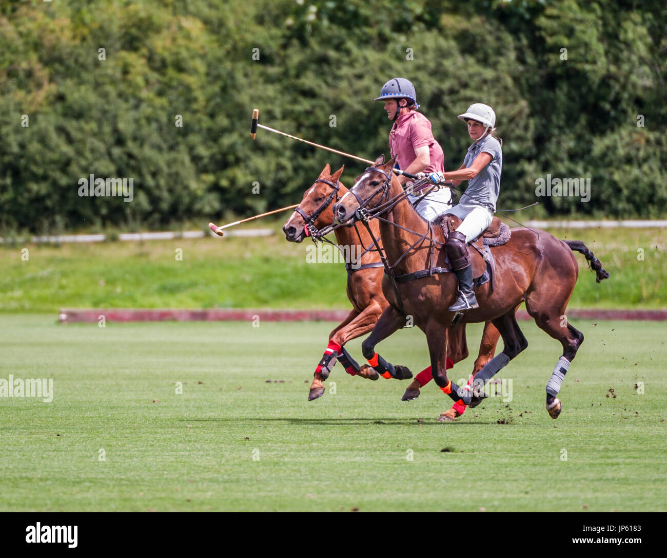 Leadenham Polo Club, Lincolnshire, England - A polo match being played ...