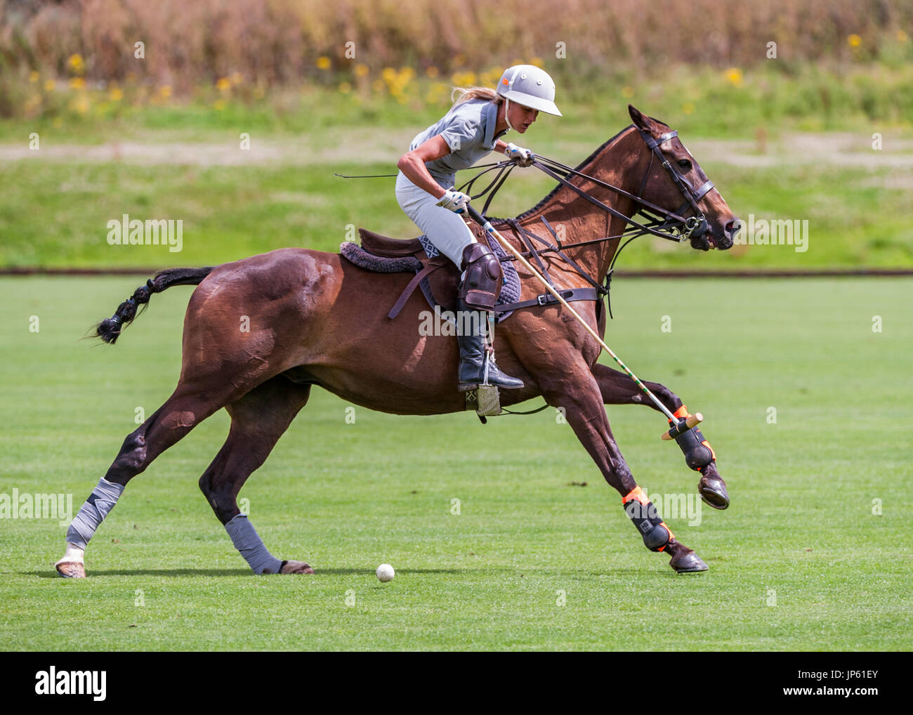 Female polo player hi-res stock photography and images - Alamy