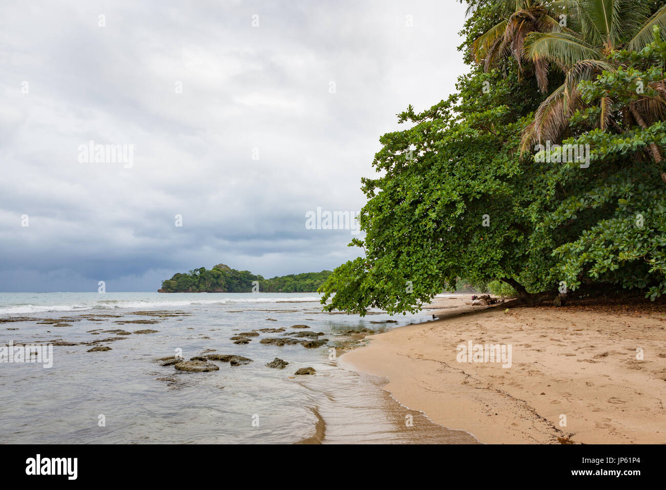 Beach forest and storm sky Stock Photo - Alamy