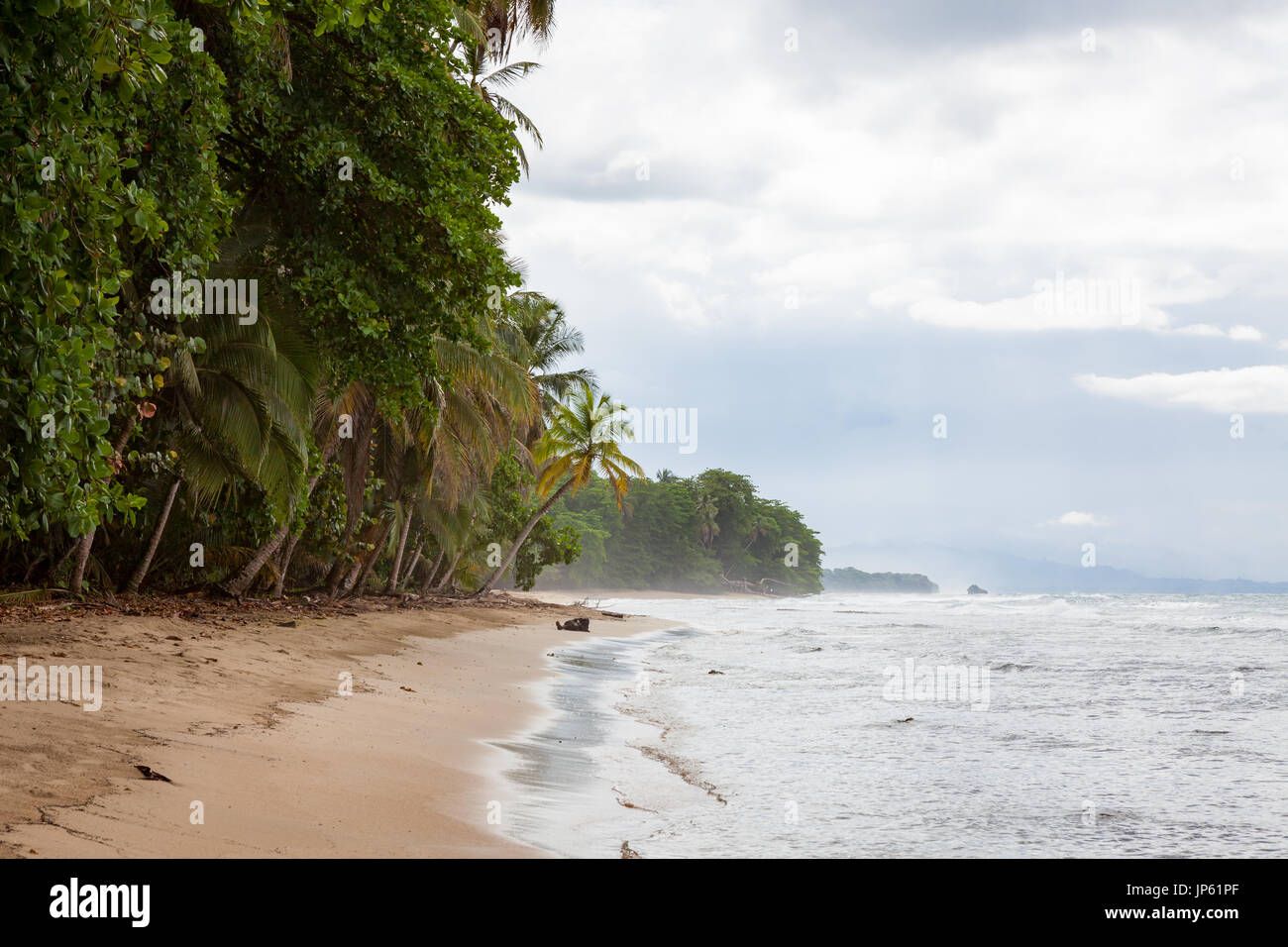 Beach forest and storm sky Stock Photo - Alamy