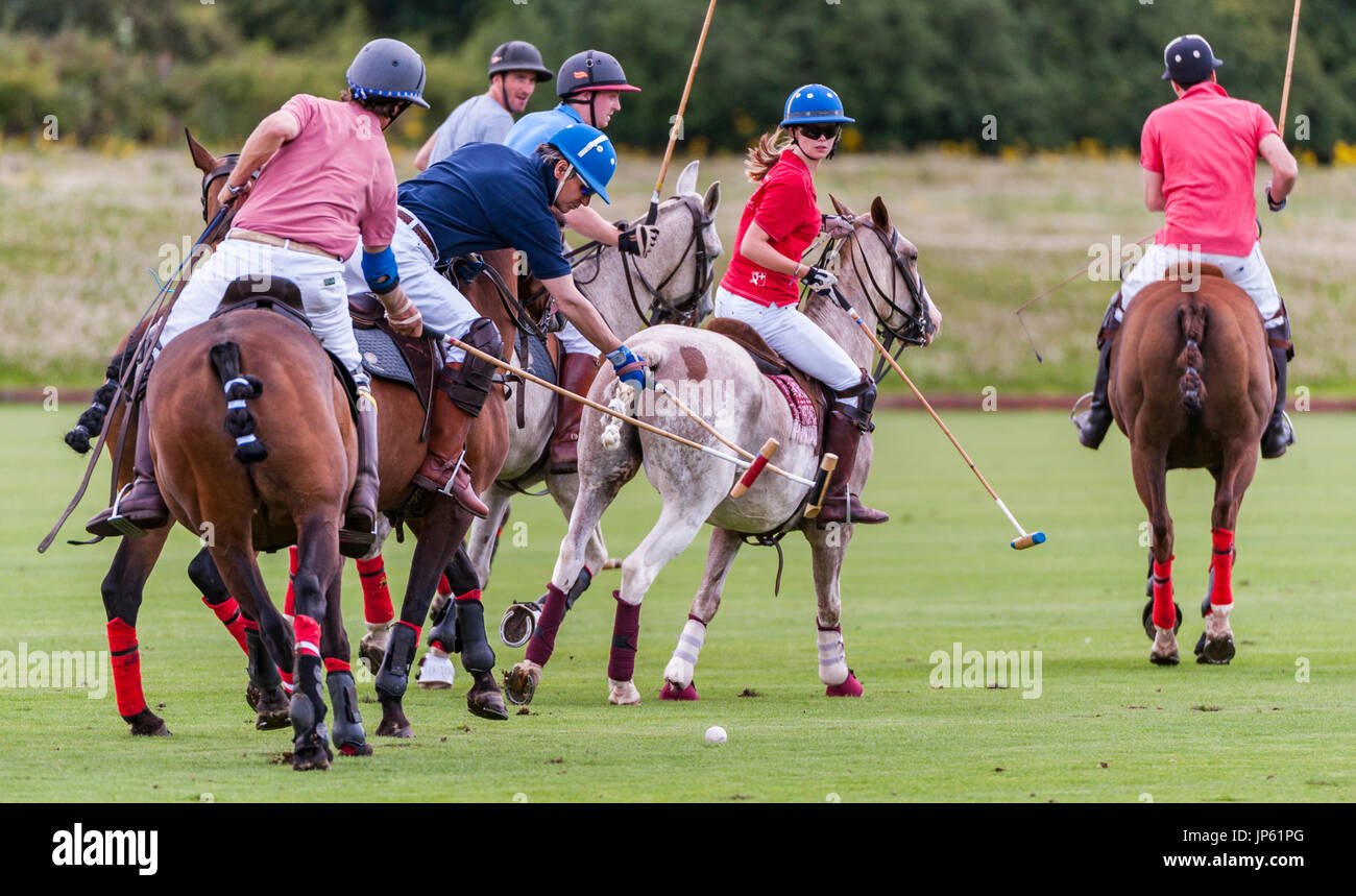 Leadenham Polo Club, Lincolnshire, England - A polo match being played ...