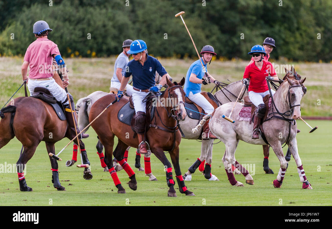 Leadenham Polo Club, Lincolnshire, England - A polo match being played ...