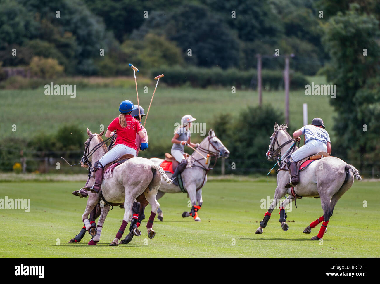 Leadenham Polo Club, Lincolnshire, England - A polo match being played ...