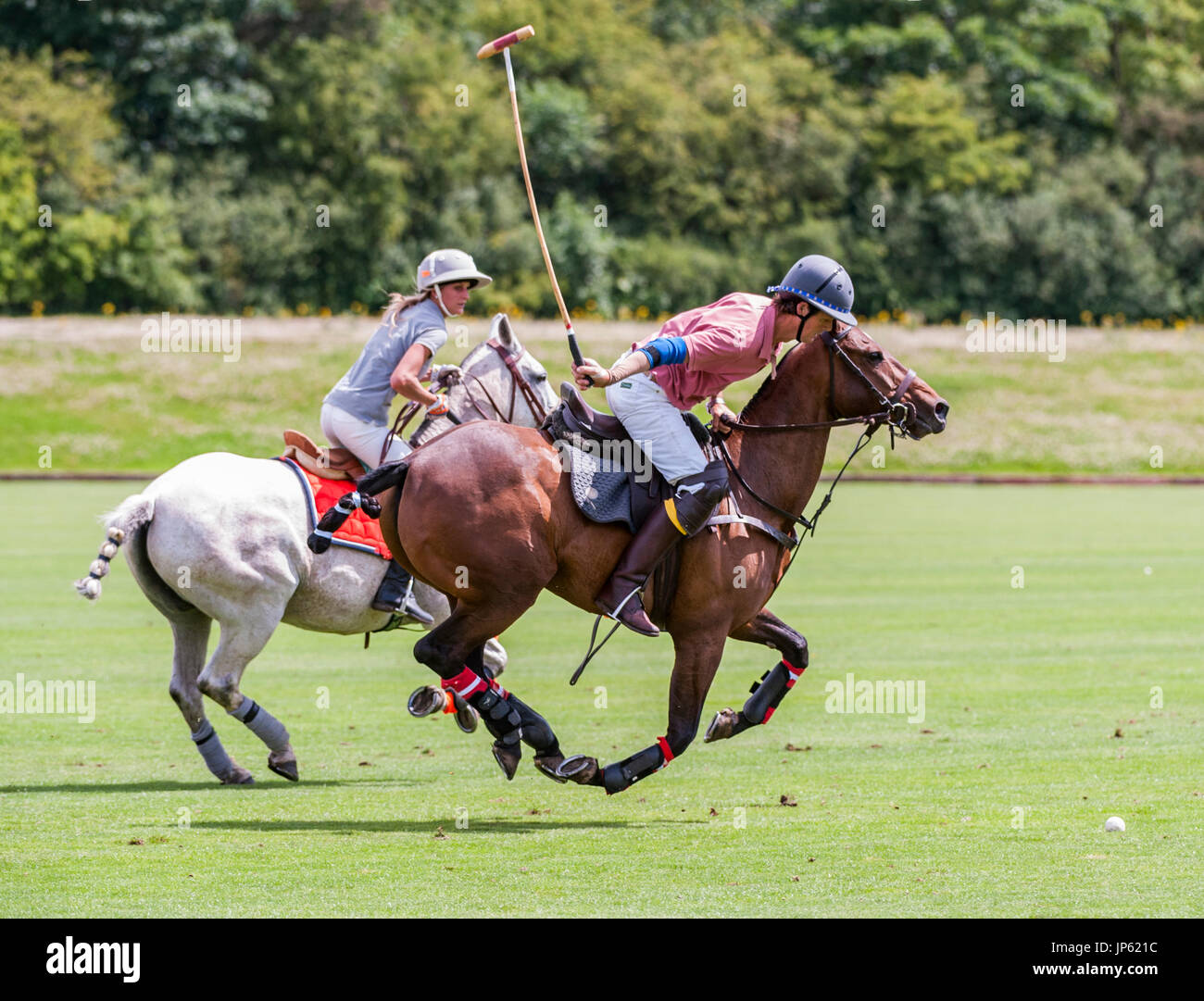Leadenham Polo Club, Lincolnshire, England - A polo match being played ...
