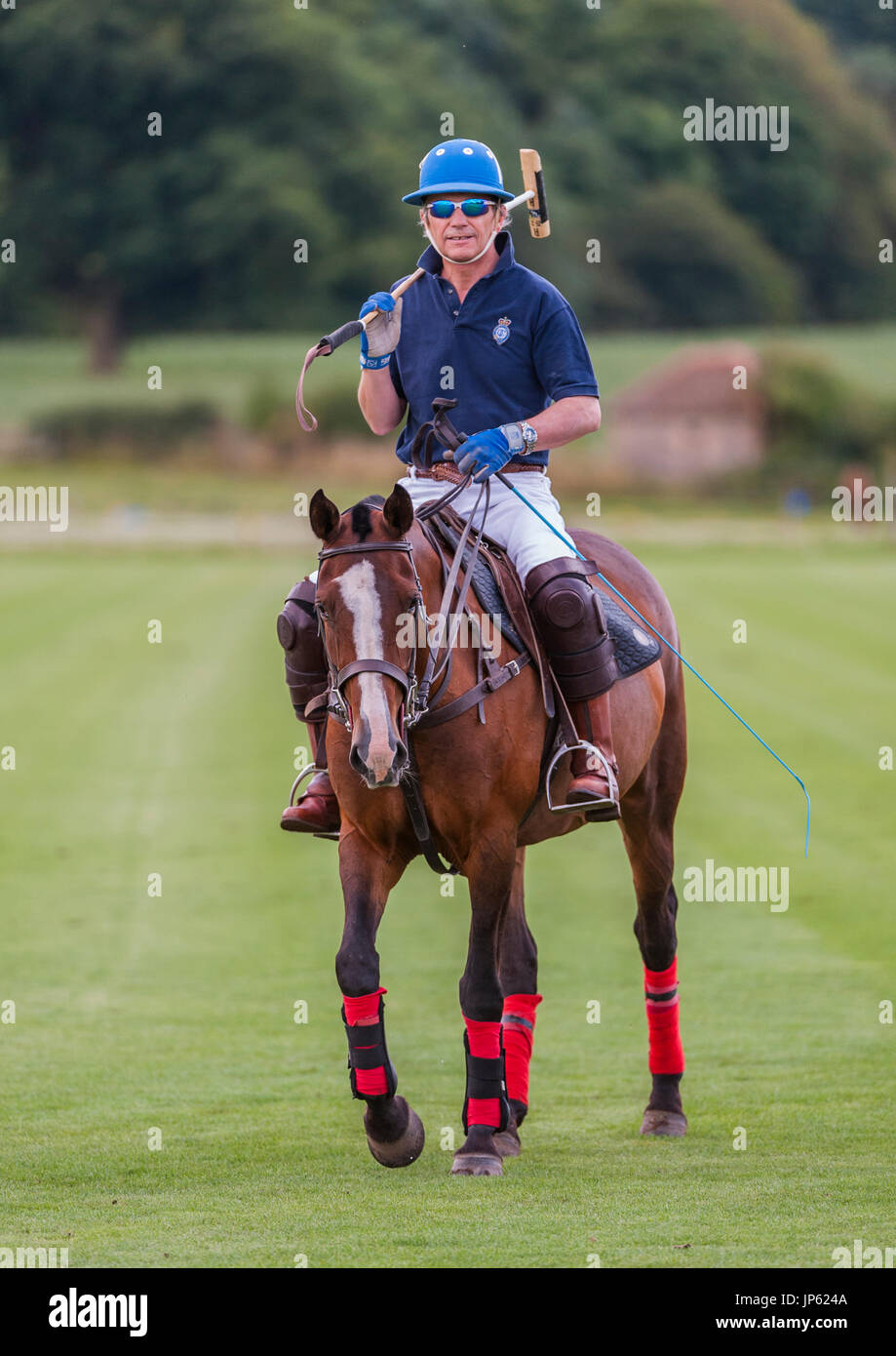 On polo pitch hi-res stock photography and images - Alamy