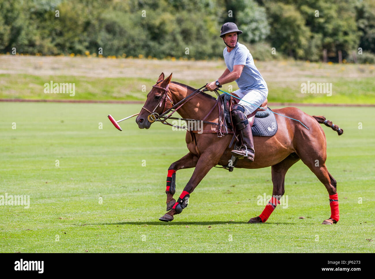 Leadenham Polo Club, Lincolnshire, England - A polo match being played ...