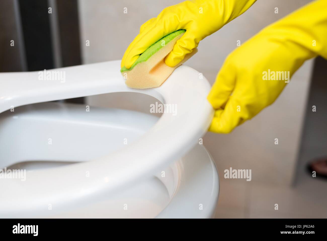 Female hands cleaning toilet seat in wc with yellow sponge. Spring ...