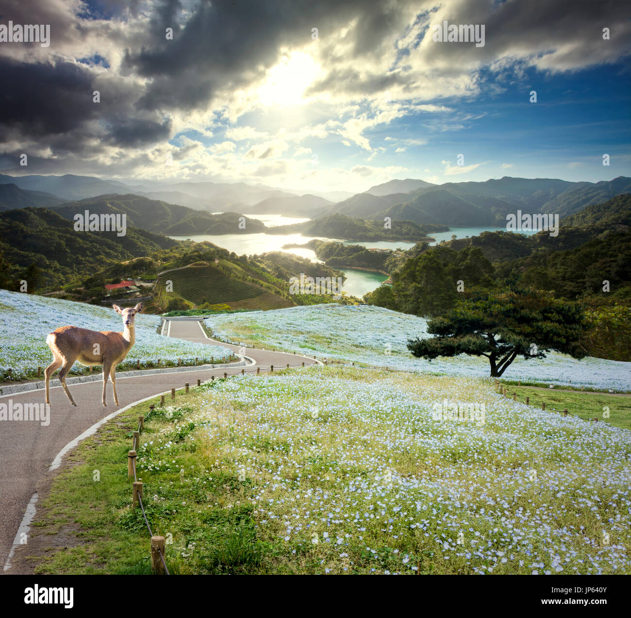 The imageing of beautiful landscape of the sky and the ground view ...