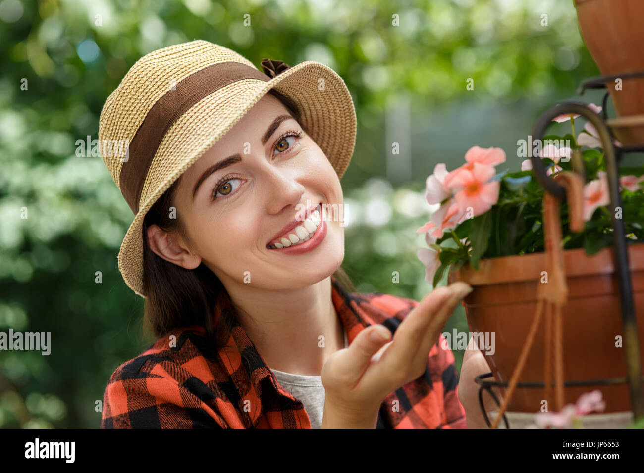 Admire plant and flowers hi-res stock photography and images - Alamy