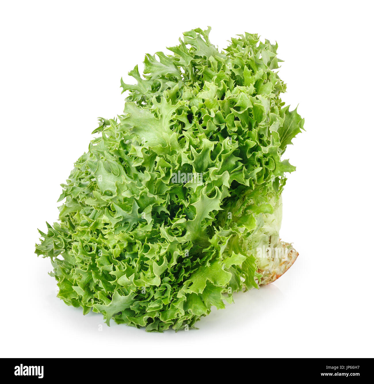 Isolated lush Cut Out Stock Images & Pictures - Alamy