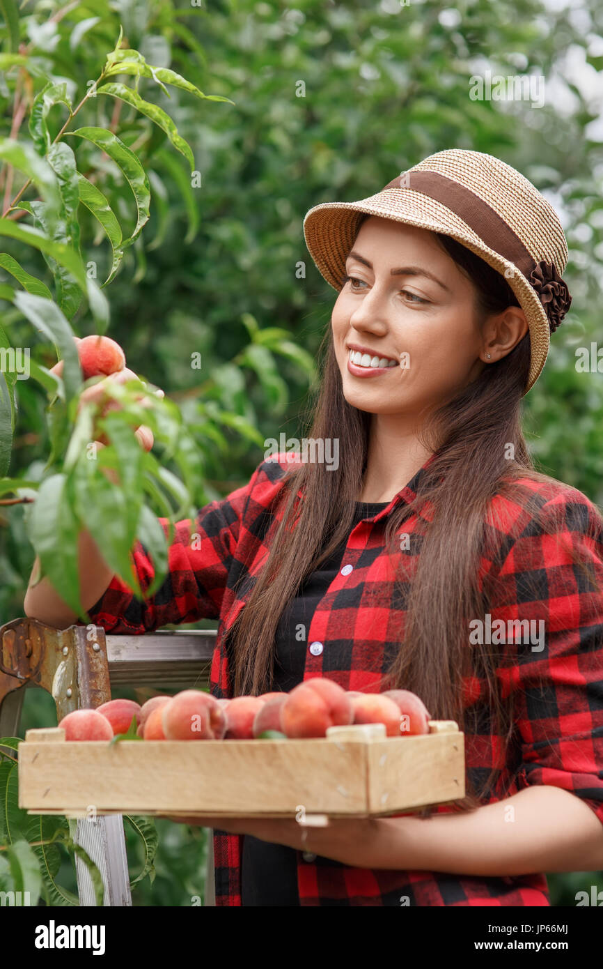 Happy gardener fruit hi-res stock photography and images - Alamy
