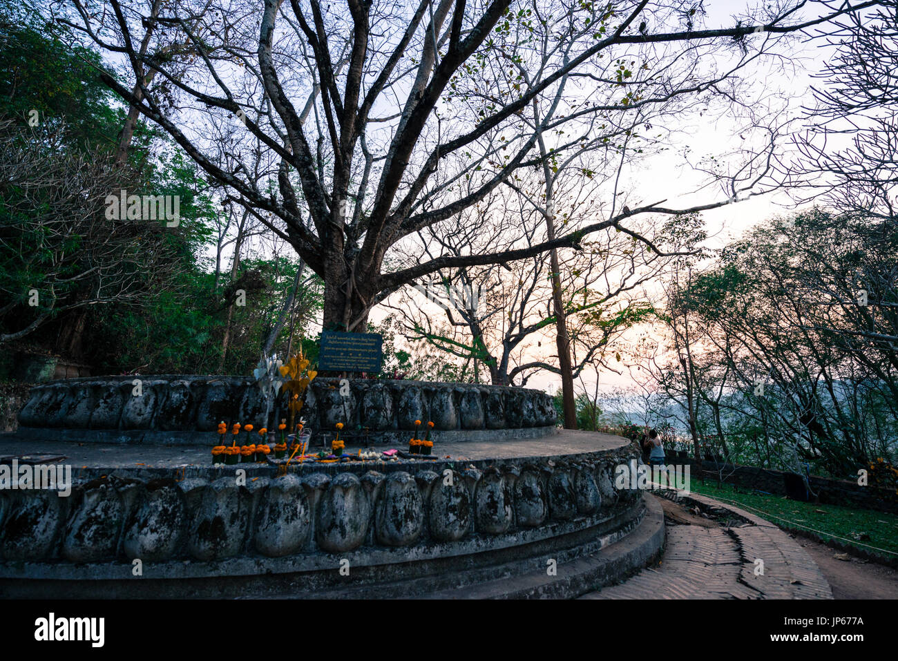 At the sunset, small temple at Mount Phousi with many trees Stock Photo ...