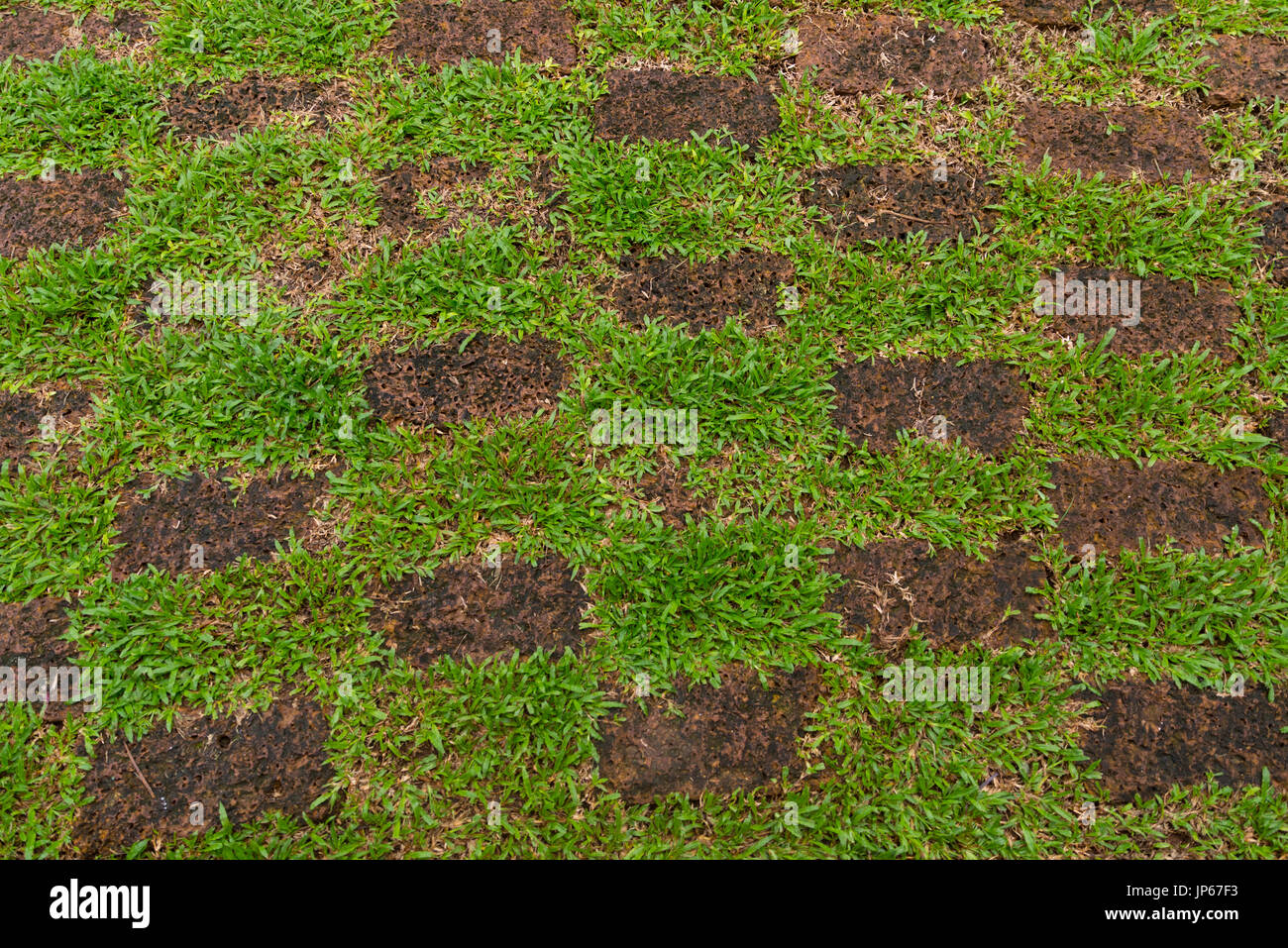 Walkway pattern chessboard of brick and grass Stock Photo - Alamy