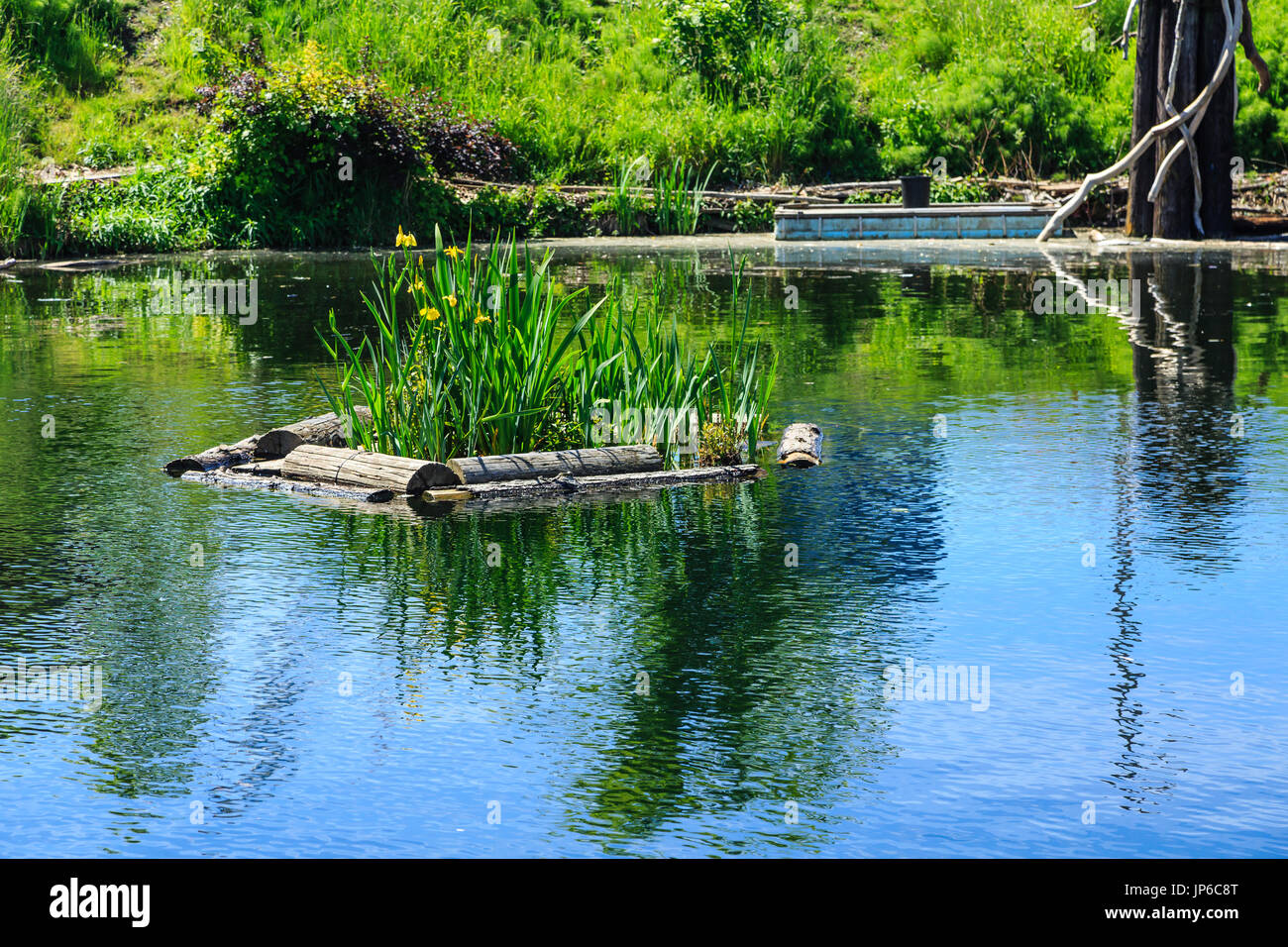 Flowers on Floating Island in Blue Lake Stock Photo - Alamy