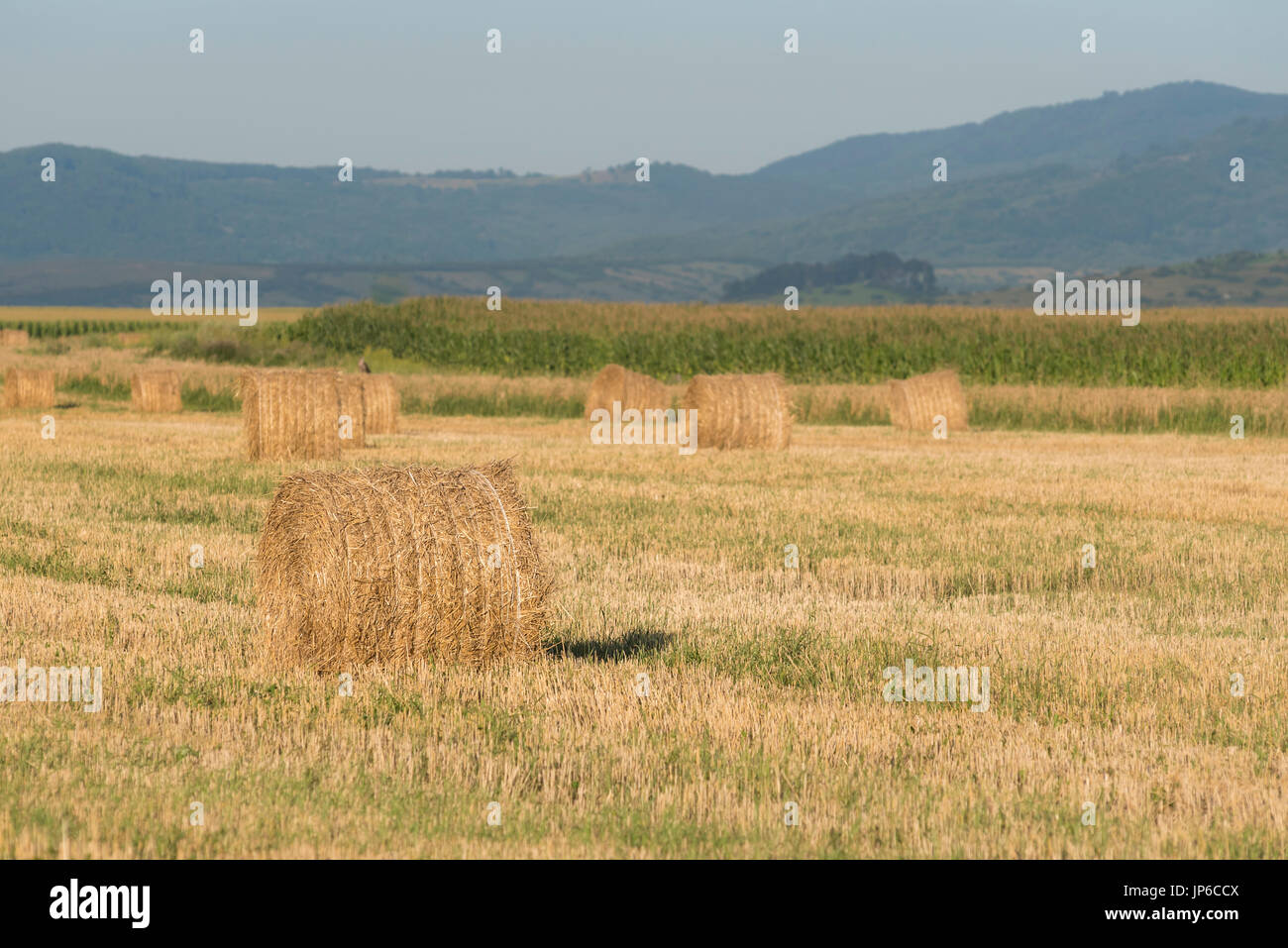 Haystack on the countryside brasov hi-res stock photography and images ...