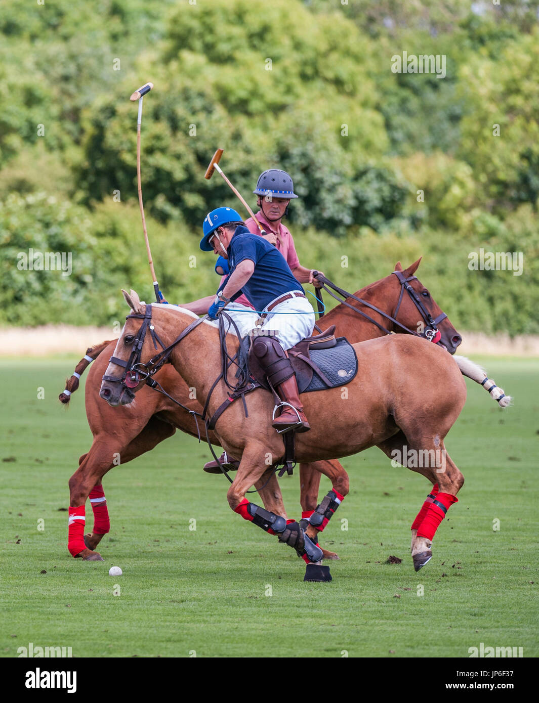 Polo motion hi-res stock photography and images - Alamy
