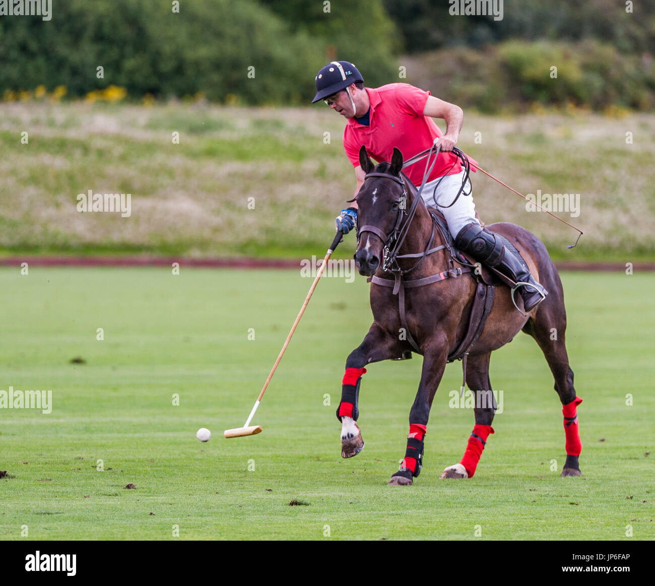 Leadenham Polo Club, Lincolnshire, England- A polo match being played ...