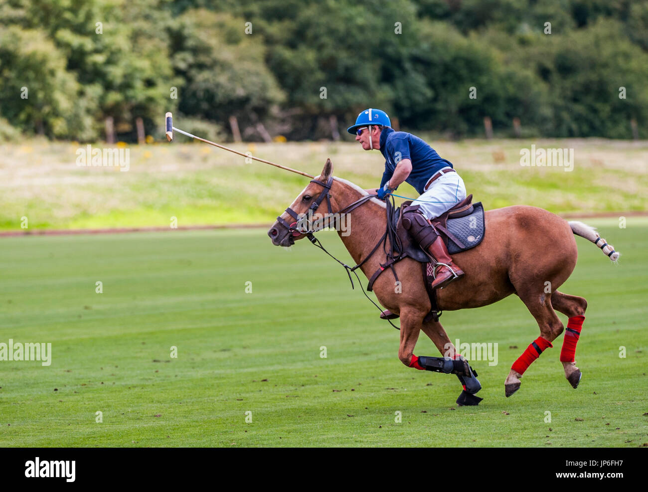 Polo match uk hi-res stock photography and images - Alamy
