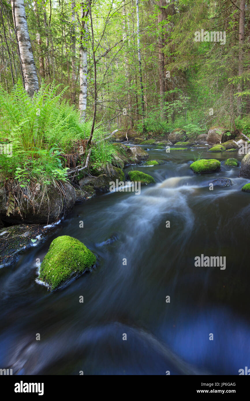Forest flow hi-res stock photography and images - Alamy