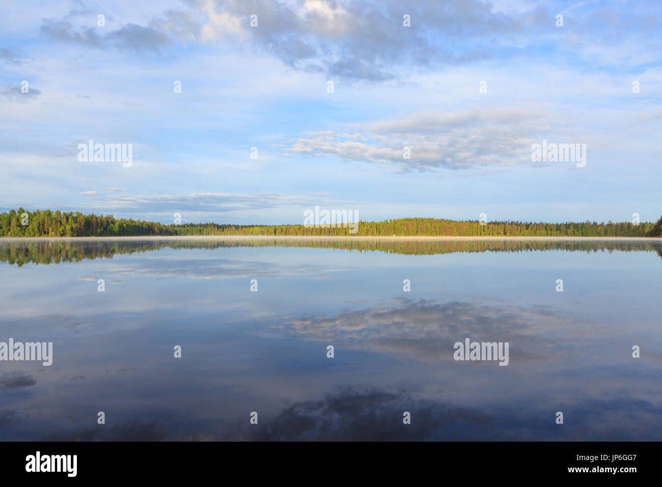 Summer lake scape at morning Stock Photo - Alamy