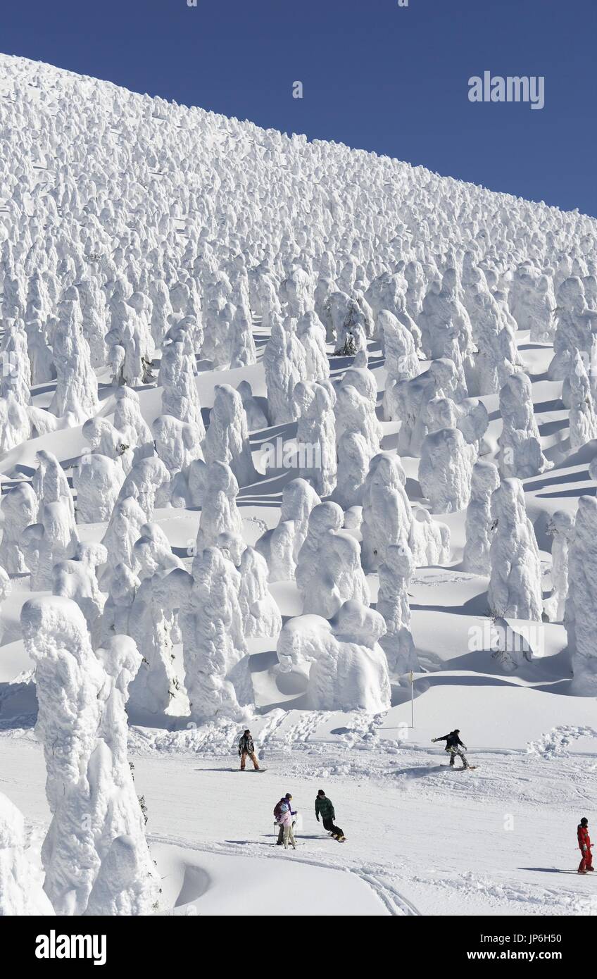 People enjoy skiing among so-called "Ice Monsters" at Zao hot spring ...