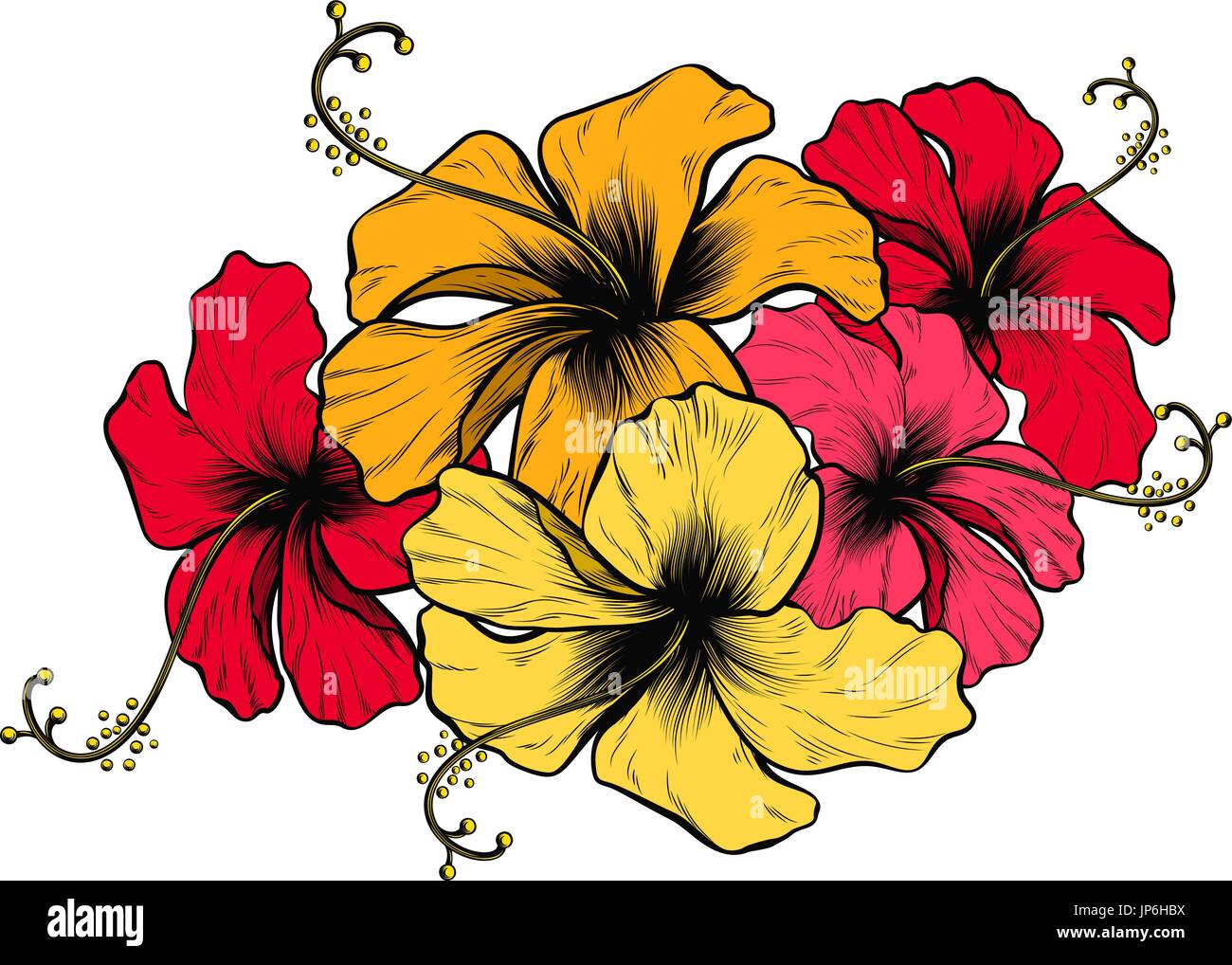 Hibiscus drawing illustration vector Stock Vector Images - Alamy