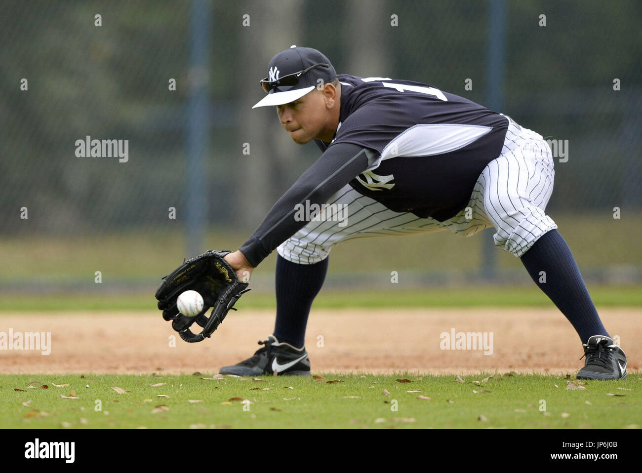 New York Yankees third baseman Alex Rodriguez takes fielding practice ...