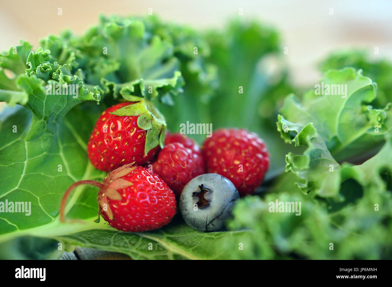 Strawberry ripe garden berries hi-res stock photography and images - Alamy