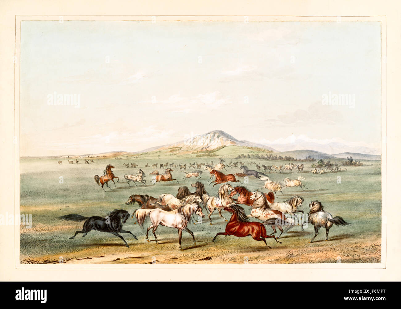 Catlin hill hi-res stock photography and images - Alamy