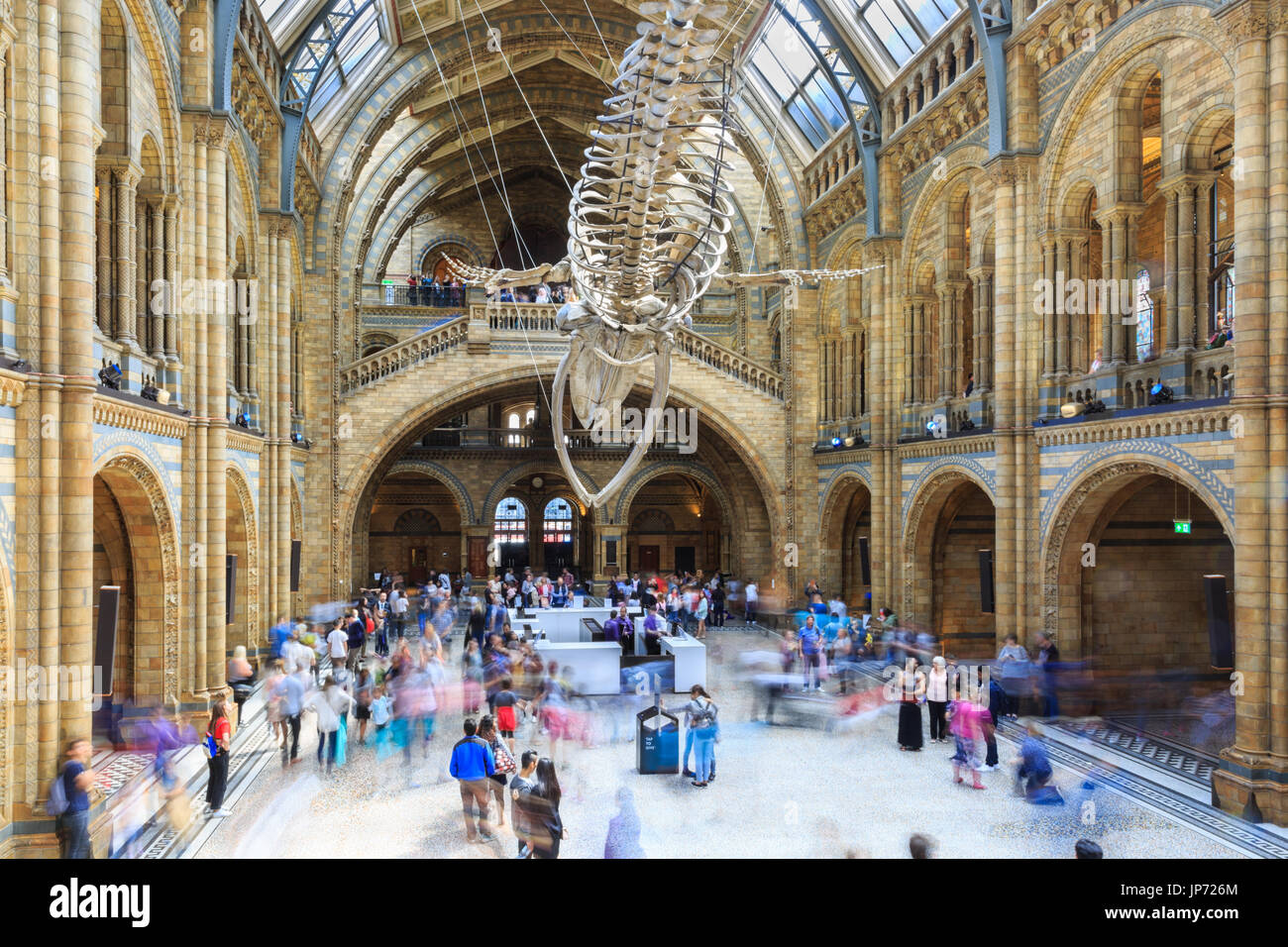 Hintze Hall Ceiling High Resolution Stock Photography And Images Alamy