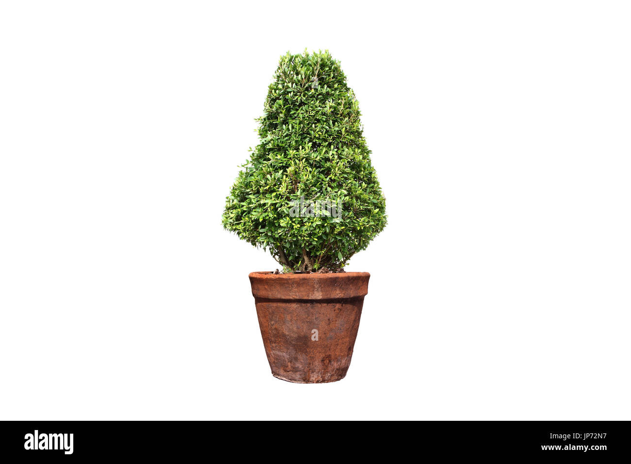 Beautiful trees in green Cut Out Stock Images & Pictures - Alamy