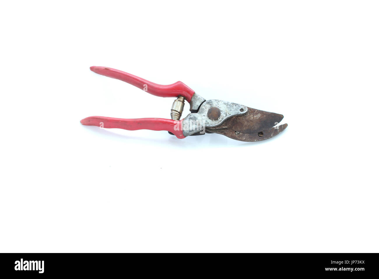 Cutting pliers of tree on isolated Stock Photo - Alamy