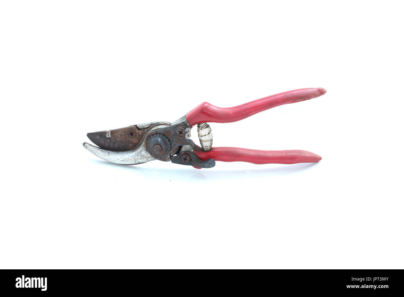 Cutting pliers of tree on isolated Stock Photo - Alamy