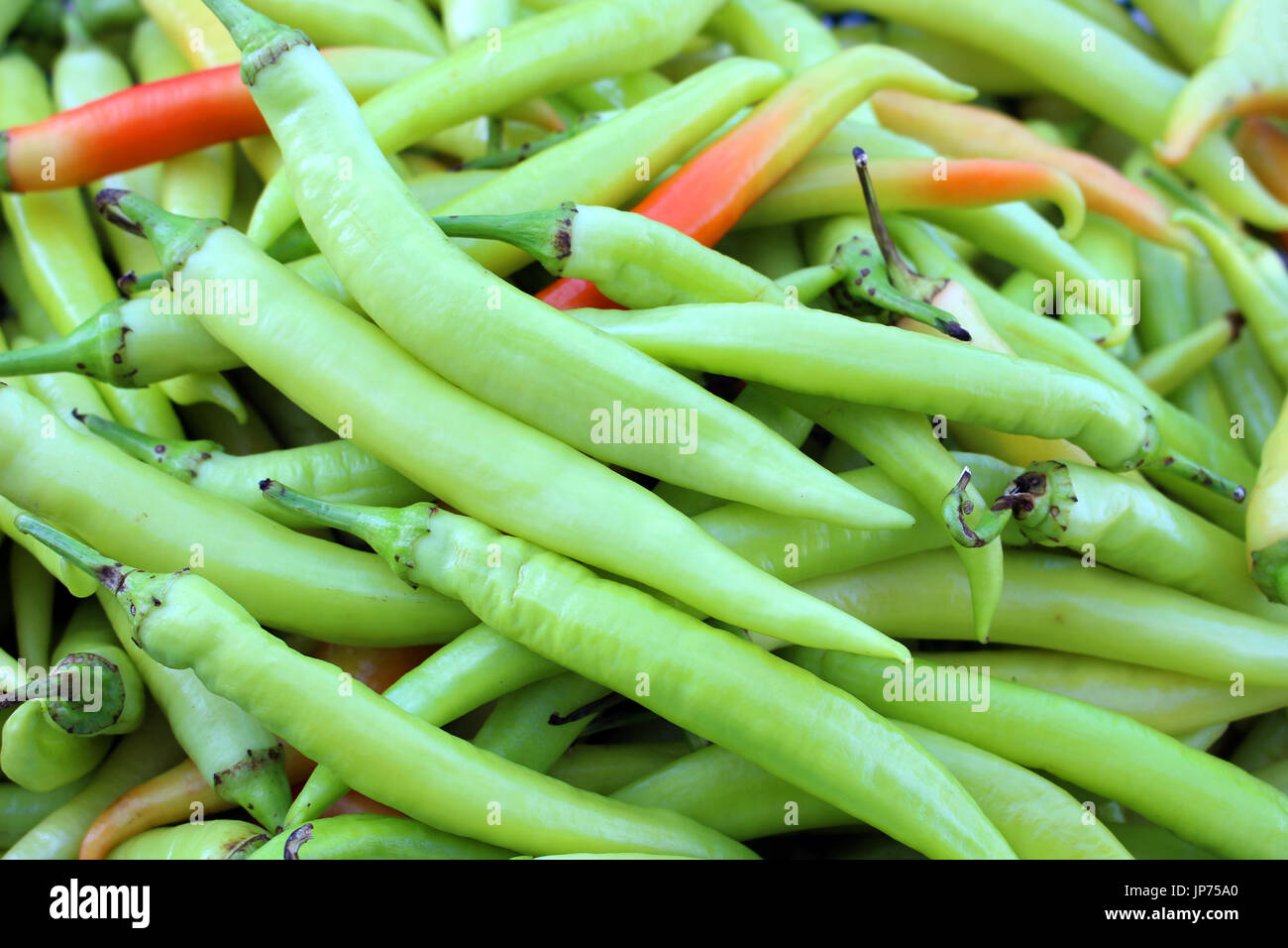 green chilli background Stock Photo - Alamy