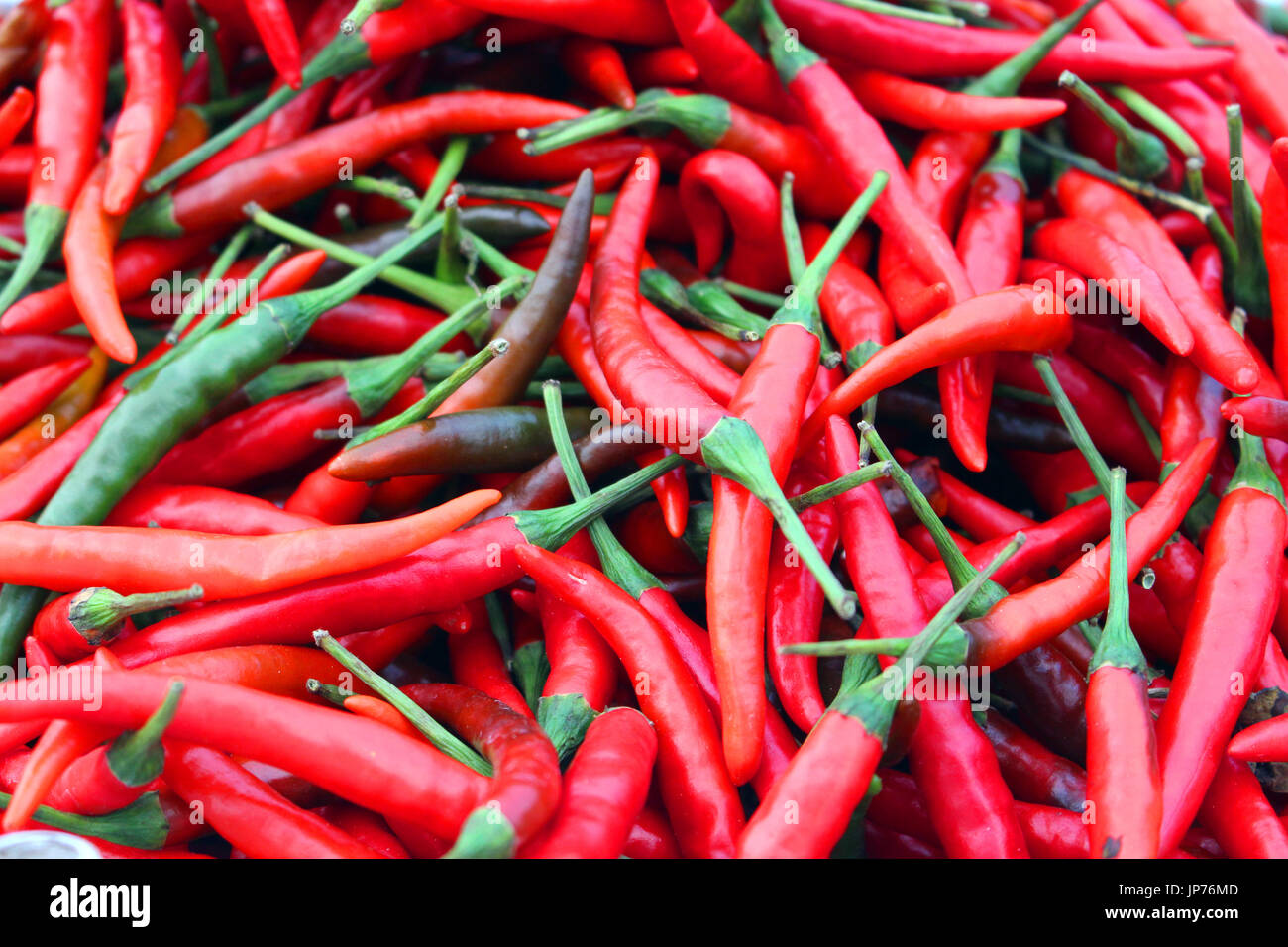 red chilli background Stock Photo - Alamy