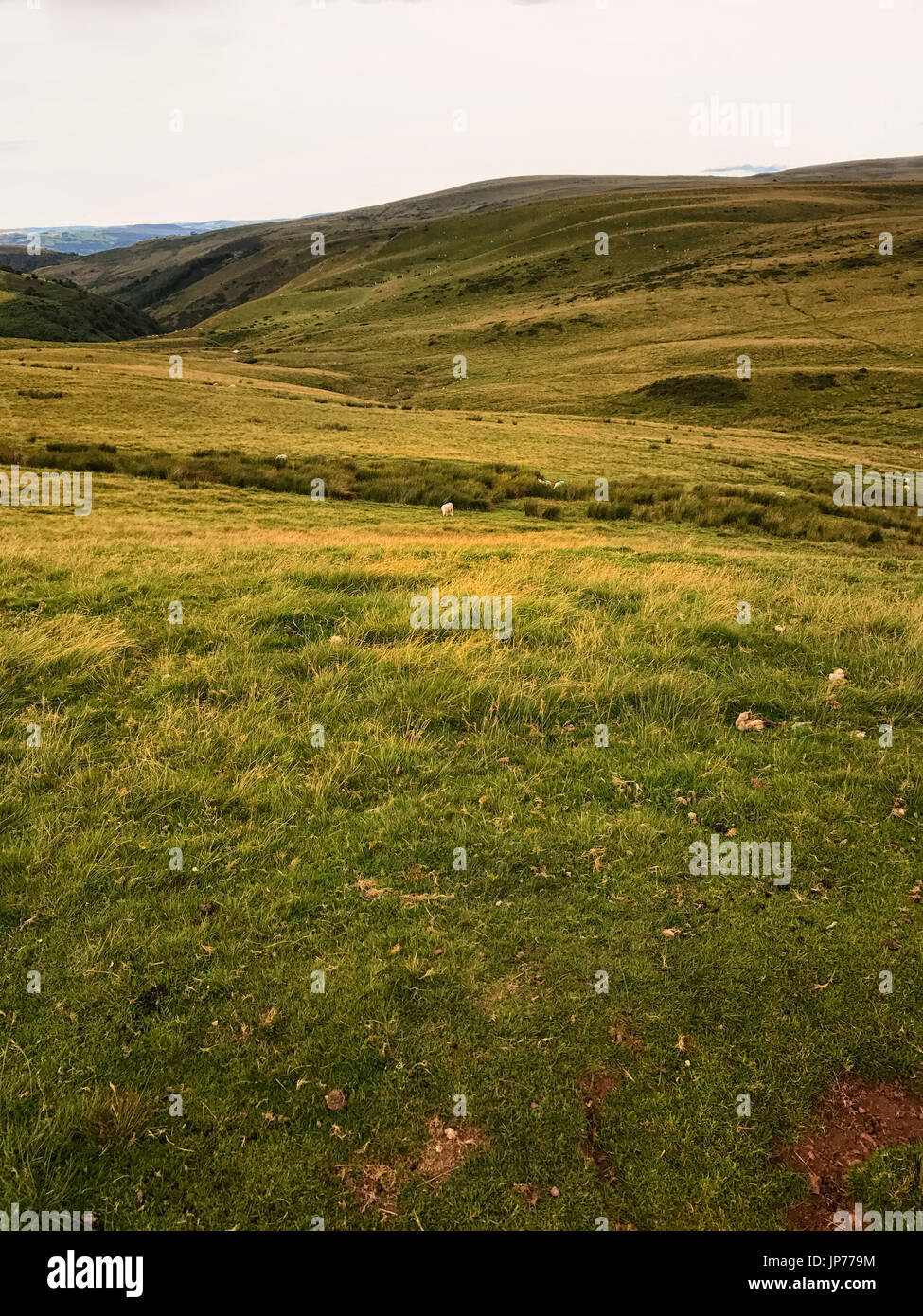 Welsh landscape in Brecon Beacons National Park Stock Photo - Alamy