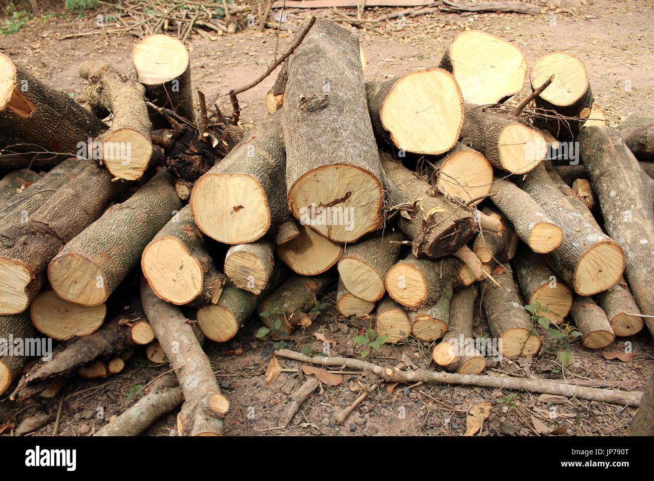 group of logs Stock Photo - Alamy