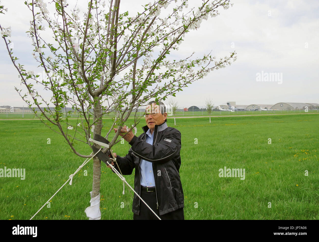 Nobuo Hara, a Japanese resident in the United States, examines at a ...