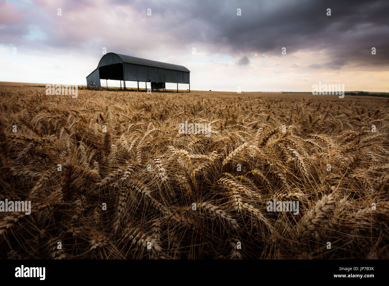 The dutch barn at Sixpenny Handley in Dorset Stock Photo - Alamy