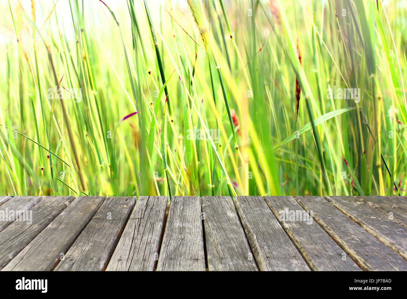 Wood table on grass background Stock Photo - Alamy