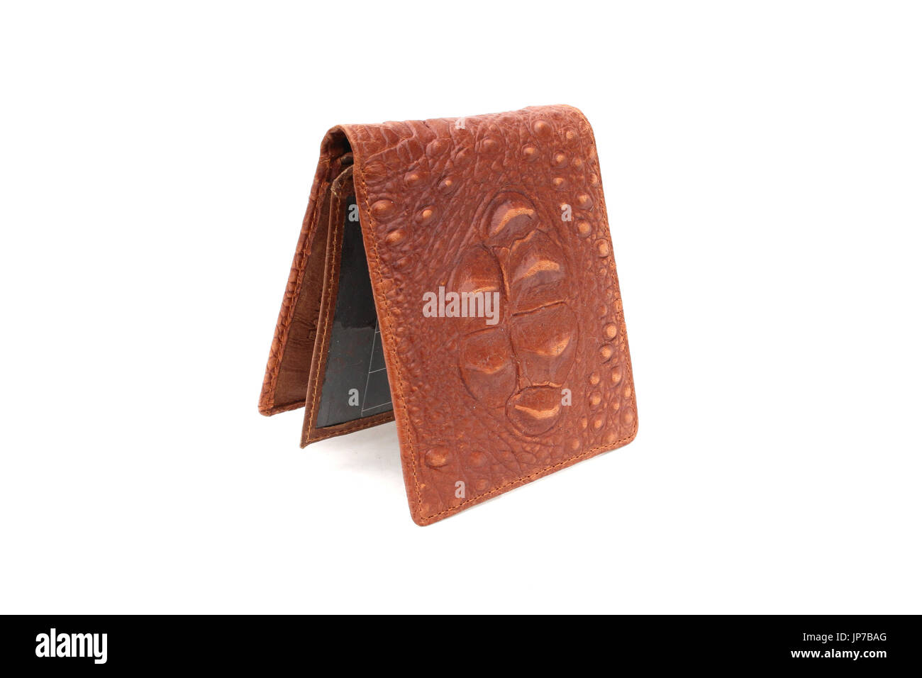 Crocodile alligator money hi-res stock photography and images - Alamy