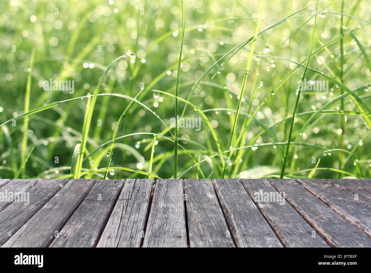 wood table on grass background Stock Photo - Alamy