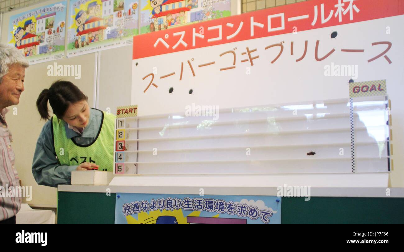 Cockroaches run on a one-meter course during an event at the Okayama ...