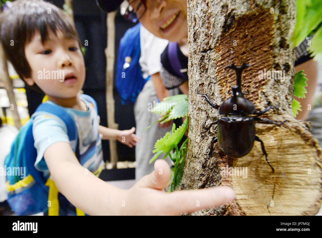 A child reaches out to touch a beetle at an insect exhibition on its ...