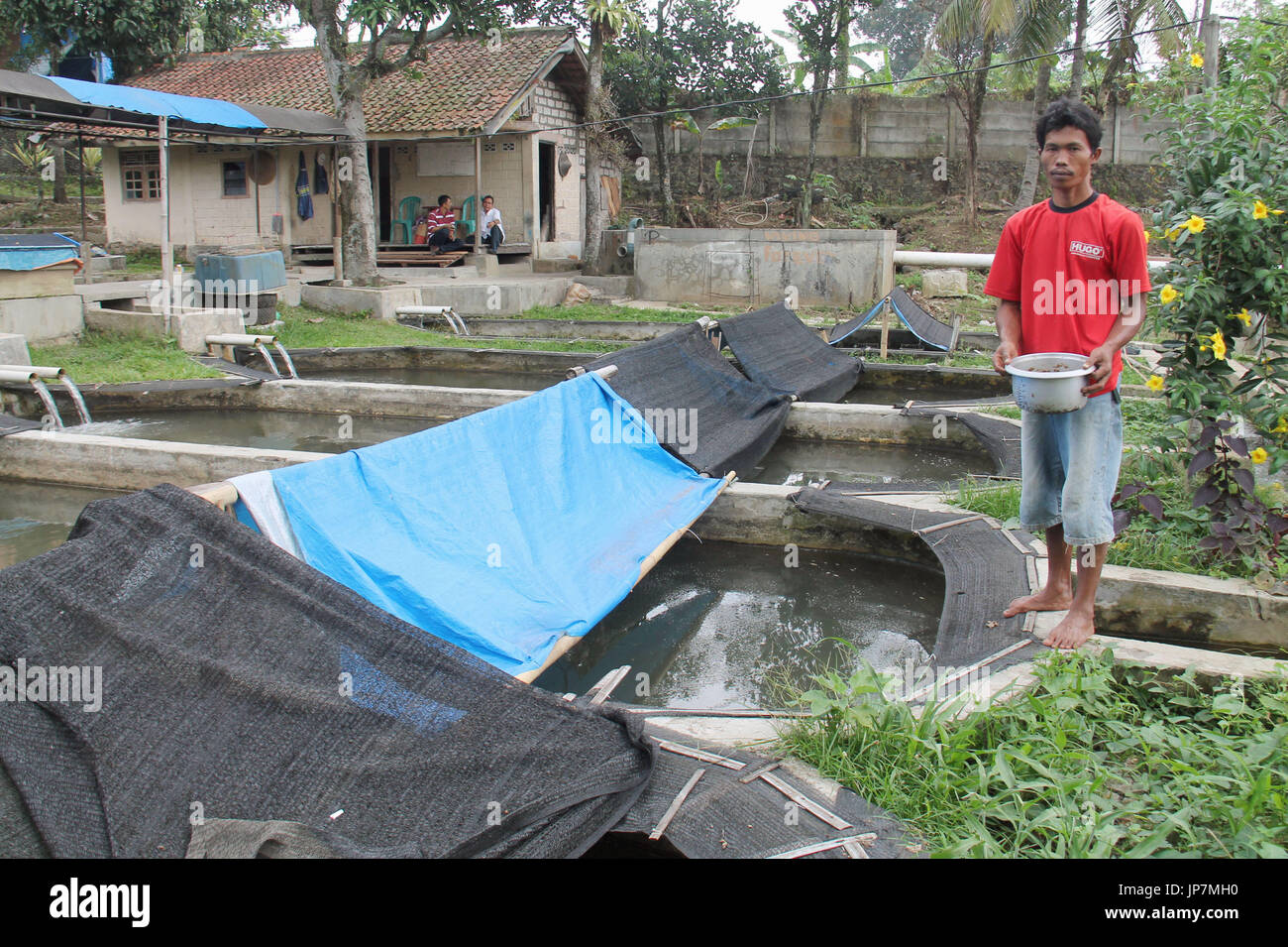 A man prepares to feed eels kept at an aquaculture farm in Bogor ...