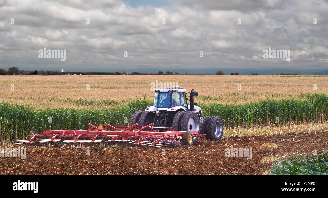 A farmer uses a disc harrow to roll corn stubble back into the soil for ...
