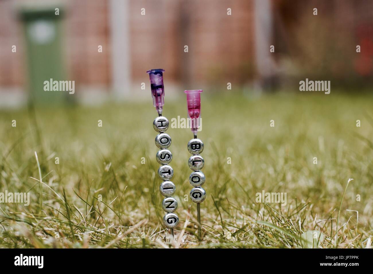 Small silver pins letters on the needle. Green grass natural outdoor ...